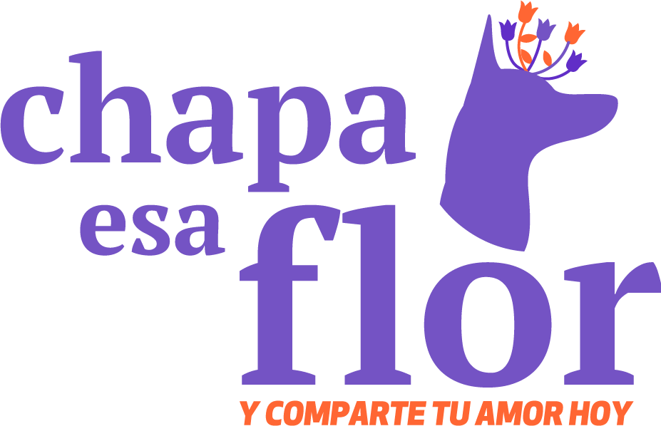 Nuestra Historia – Chapa esa Flor